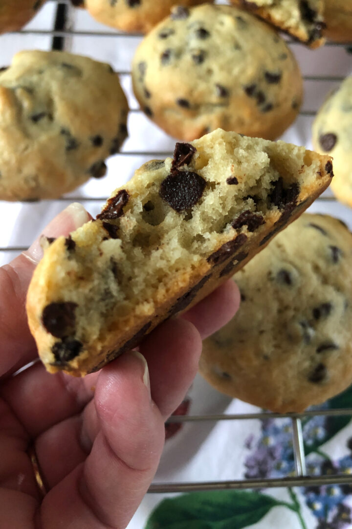 Copycat Panera Chocolate Chip Muffie Recipe