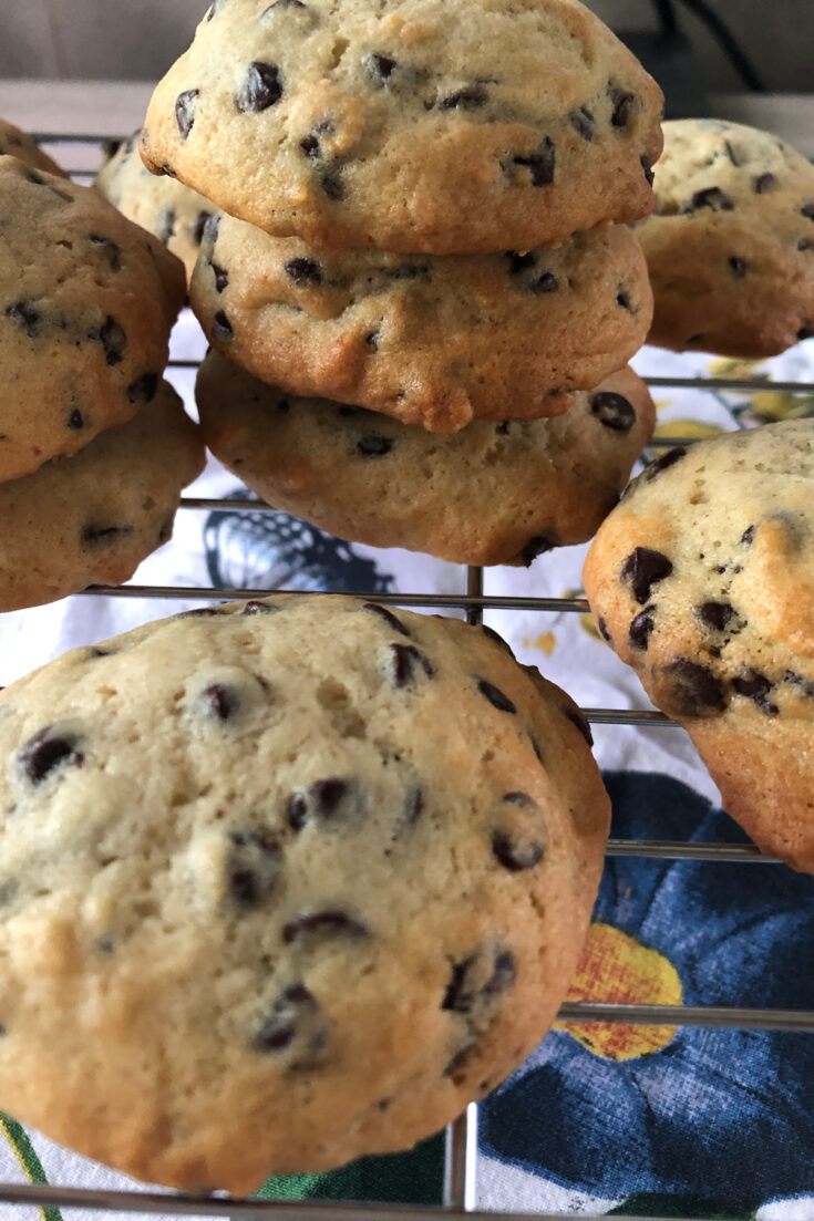 Copycat Panera Chocolate Chip Muffie Recipe