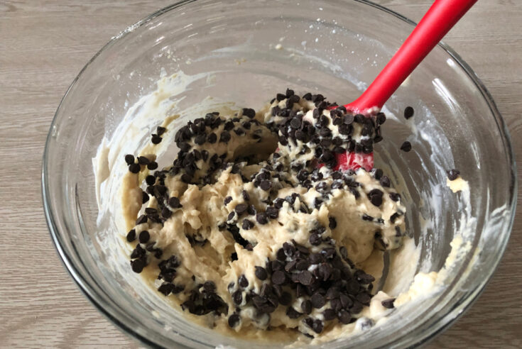 Panera Chocolate Chip Muffie Recipe (Copycat) | Pie Lady Bakes