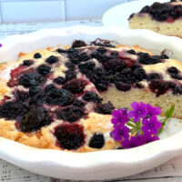 Triple Berry Cake Recipe | Pie Lady Bakes