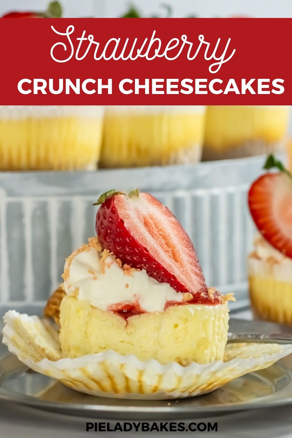 Delicious Strawberry Mini Cheesecakes: Perfect for Summer | Pie Lady Bakes